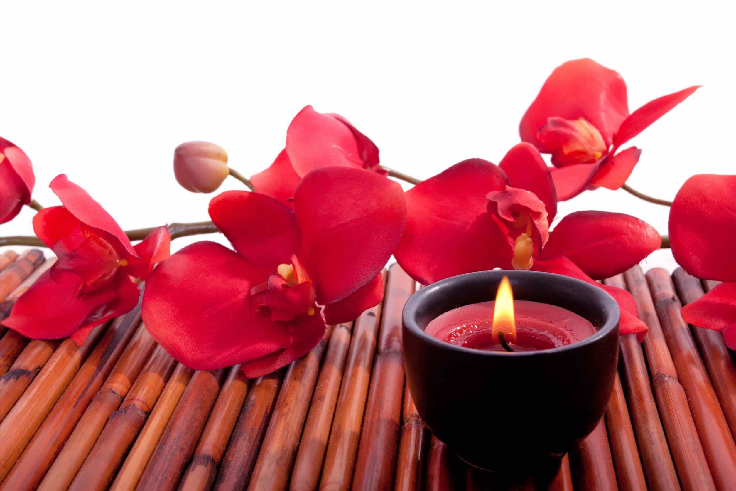 Being Receptive to Nurturing - Power of Love Ministry